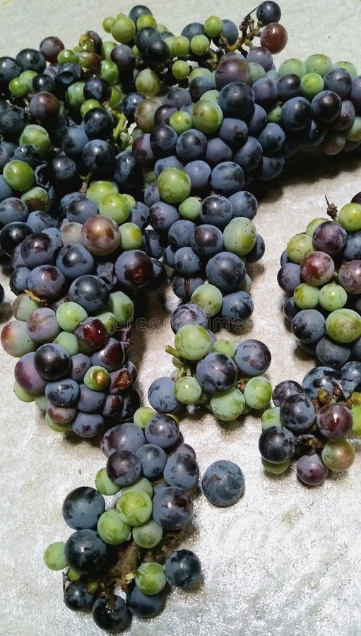 Mawaddah Fauziah (Mwdfzh) - Photographer profile