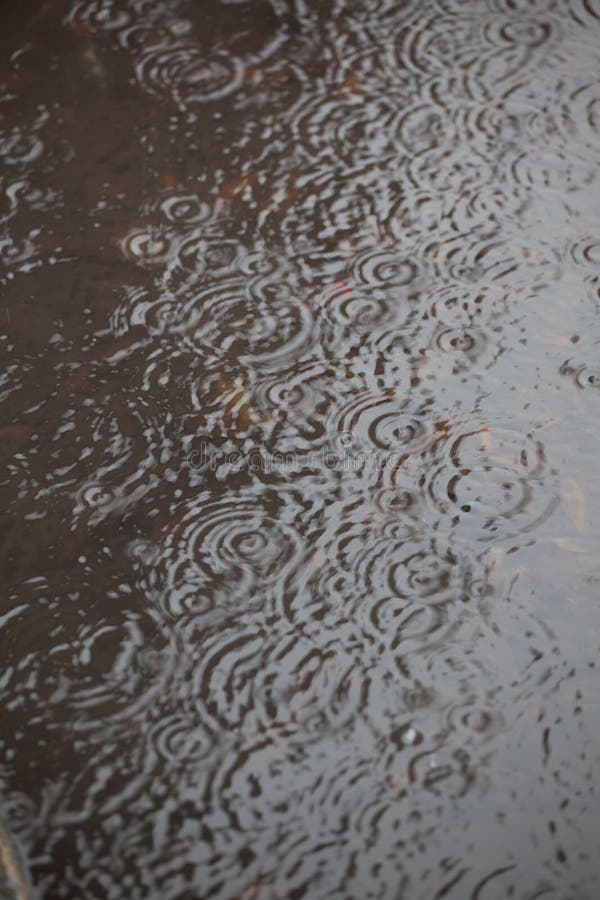 Tiny Ripples in a Pool at Cornell University Stock Photo - Image of ...