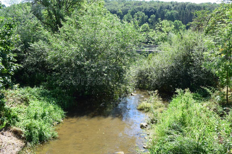 Tiny Lux Stock Photos - Free & Royalty-Free Stock Photos from Dreamstime