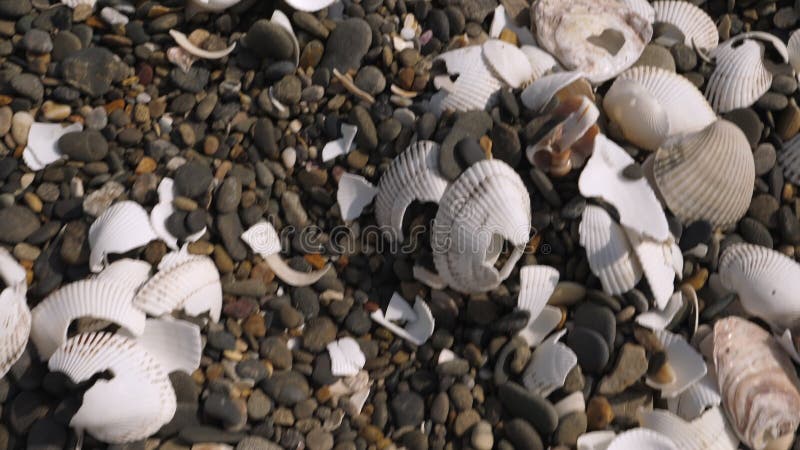 White Broken Crumpled Paper with Green Screen Stock Video - Video of ...