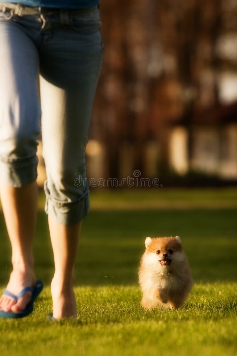 860 Tiny Teen Blowjobs Stock Photos - Free & Royalty-Free Stock Photos ...