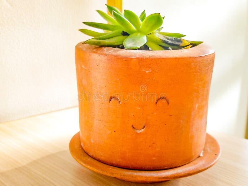 Tiny Succulent in Orange Smiling Pot Stock Image - Image of plant ...