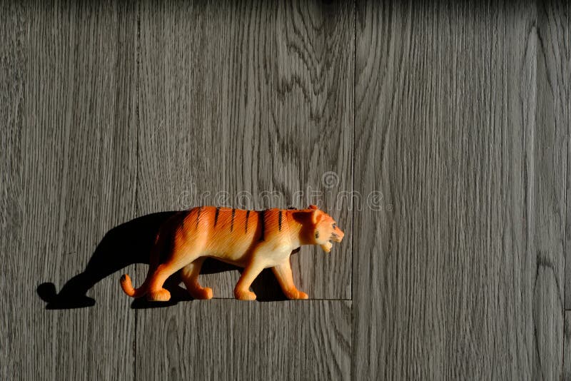 Tiger Shadow Boy Stock Photos - Free & Royalty-Free Stock Photos from ...