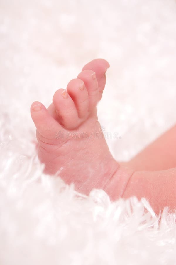 Tiny Toes #2 Picture. Image: 2870595