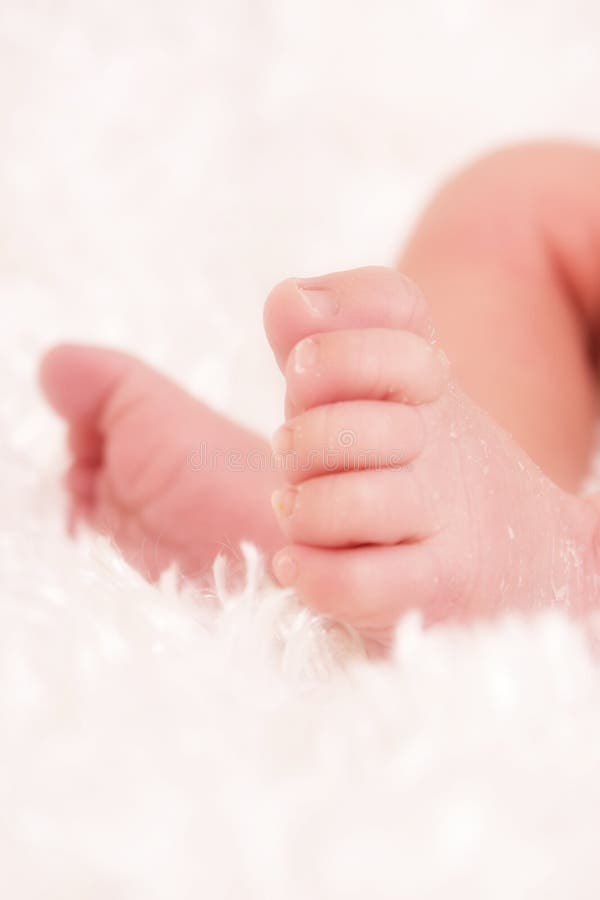 Tiny Toes stock photo. Image of toes, baby, small, person - 2870548