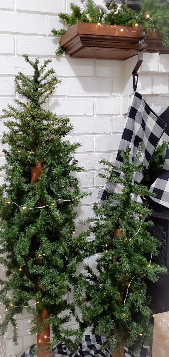 Tiny Trees Cedar Home Classy Decorations Stock Image - Image of trees ...