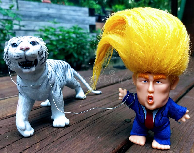 Tiny Trump walks his pet editorial image. Image of troll - 119368080