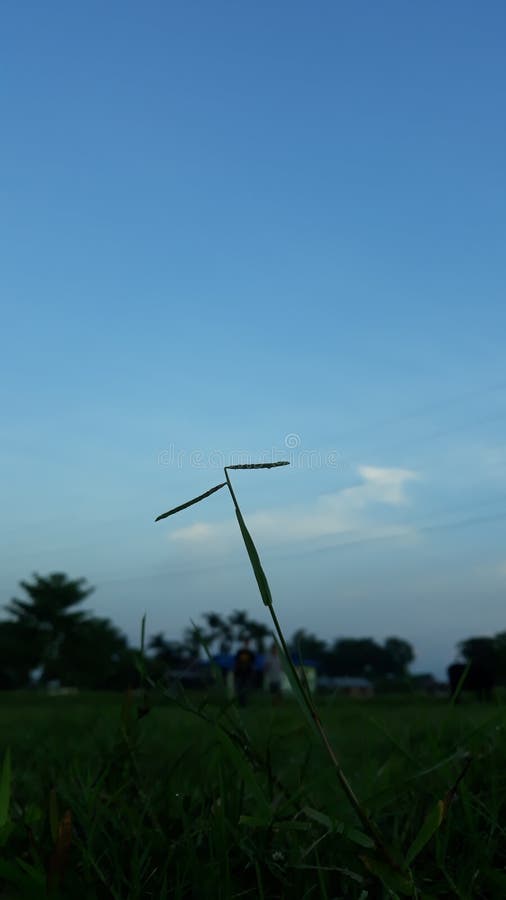 Tiny view Huge Slight stock image. Image of nature, tiny - 162791003