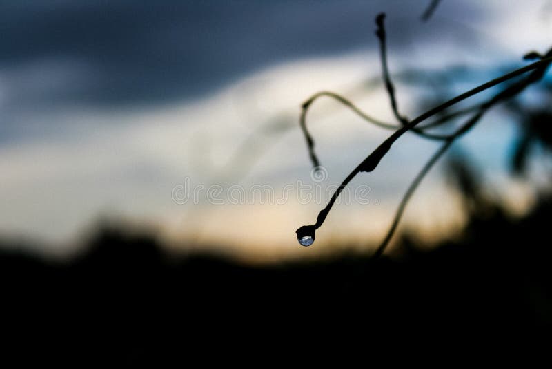 Tiny water drops stock image. Image of water, philippines - 118019583