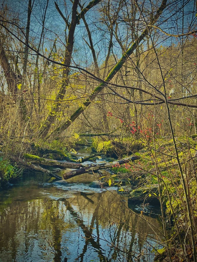 Water Stream in Forest, Fall Time Stock Illustration - Illustration of ...