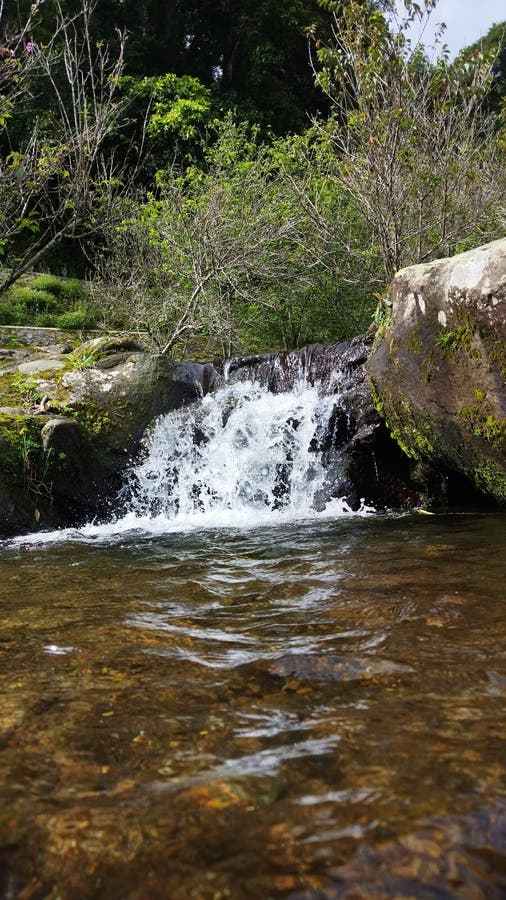 A Tiny waterfall in forest stock photo. Image of erosion - 270046232