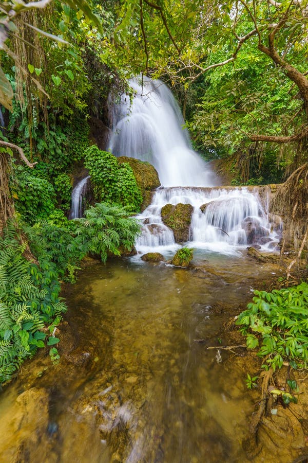 Tiny Waterfall Hidden in a Jungle Stock Photo - Image of water ...