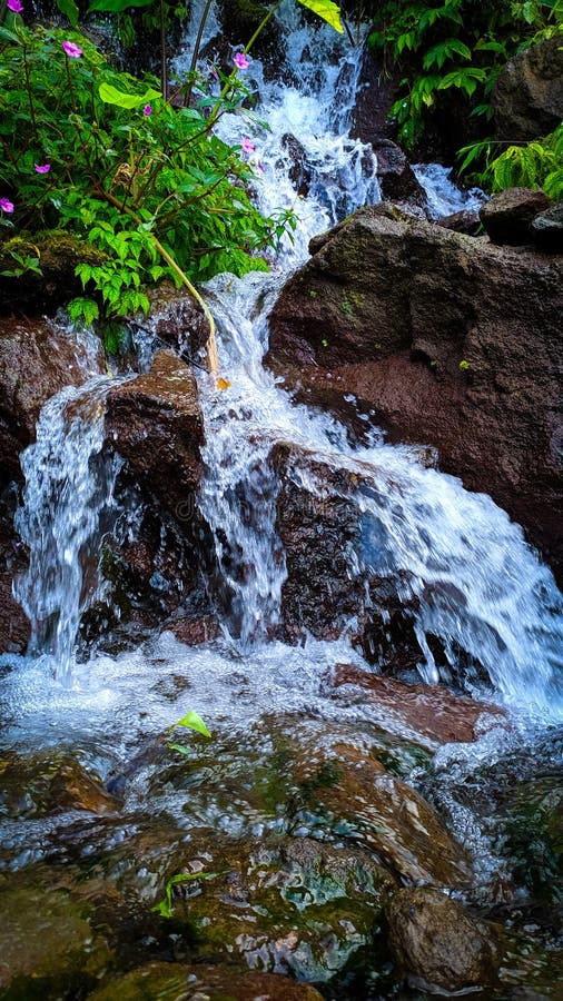 Tiny Waterfall Mountain Spring Water Flowing through Rocks Stock Image ...