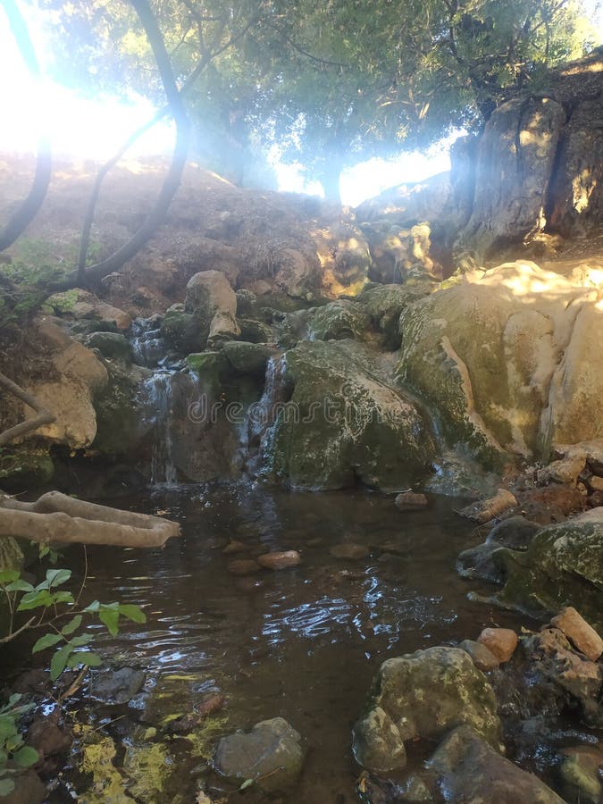 Tiny Waterfall Over the Stones Stock Image - Image of pond, jungle ...