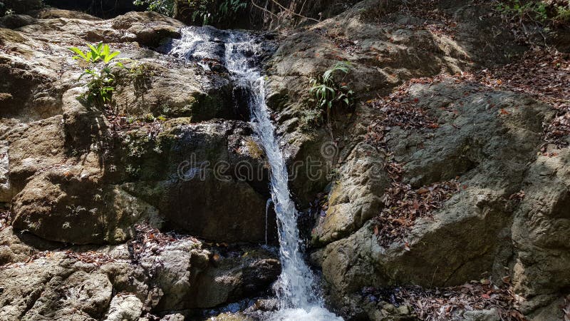 Tiny Waterfall River on Rocks Costa Rica Stock Photo - Image of nature ...