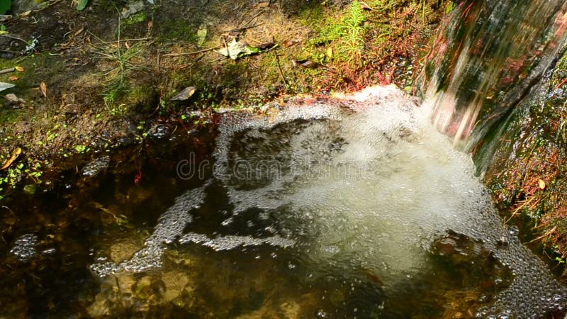 Tiny Waterfall in Small River with Fast Flowing Clear Water Stock ...