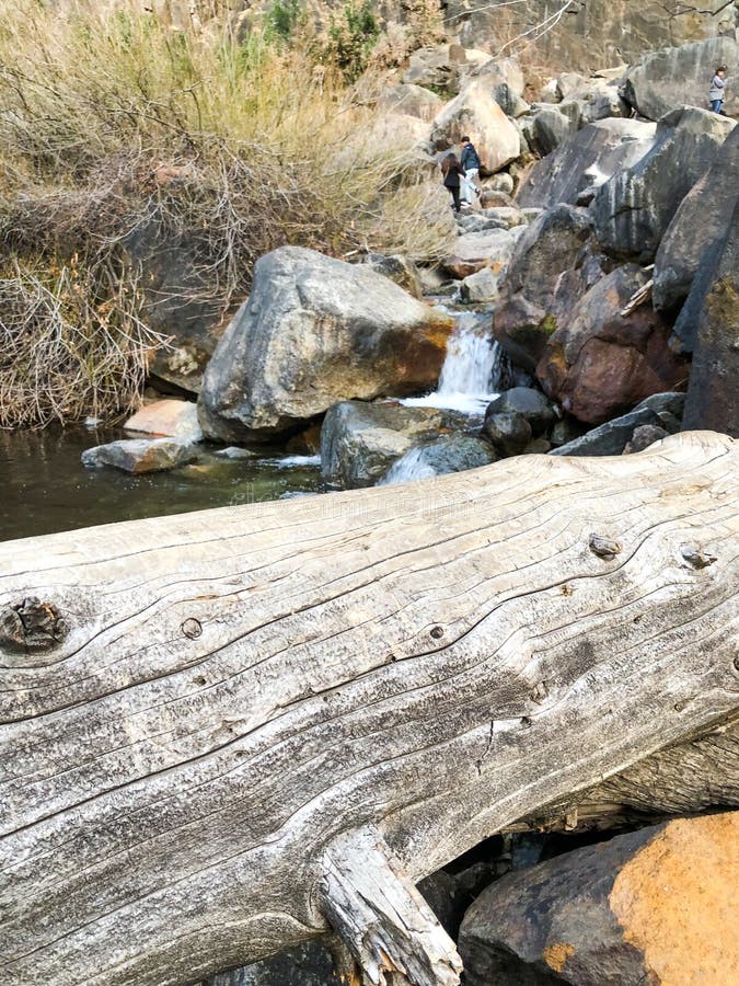 Tiny Waterfall and Tree Trunk by a River Stock Image - Image of spring ...
