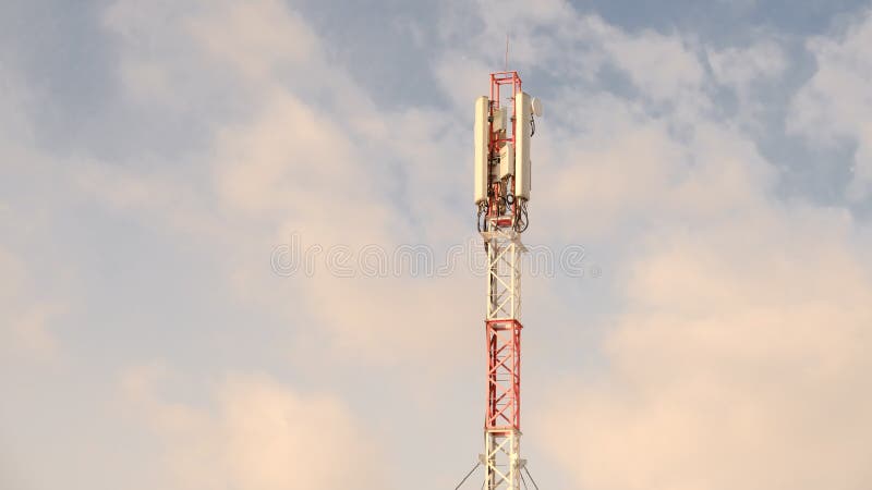 The Tip of the Antenna Sensors 2 Stock Image - Image of color, head ...