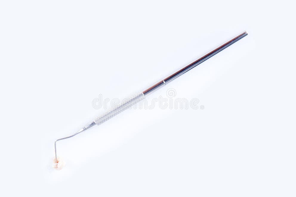 Tip of Dental Probe on Real Human Extracted Tooth Stock Photo - Image ...