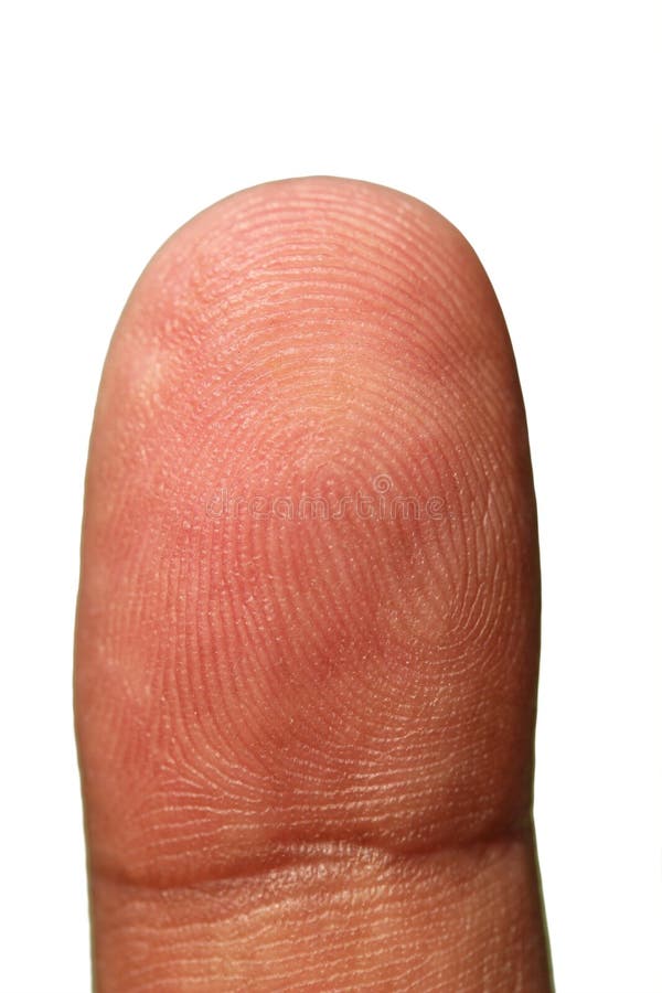 Tip of Human Hand Showing Unique Finger Print Stock Image - Image of ...