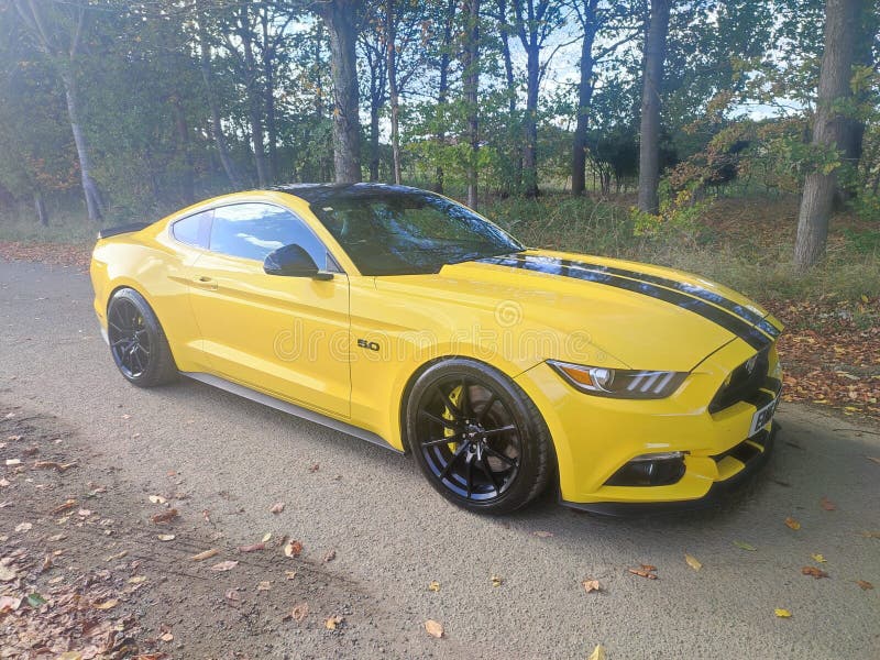 Tip Top Mustang Stock Photos - Free & Royalty-Free Stock Photos from ...