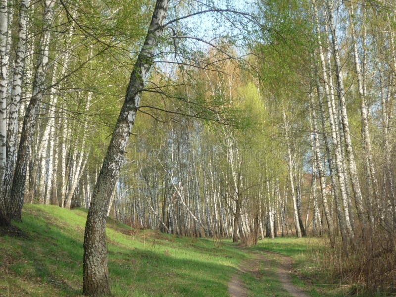 Tipical Russian Spring Landscape Stock Photo - Image of tipical, spring ...