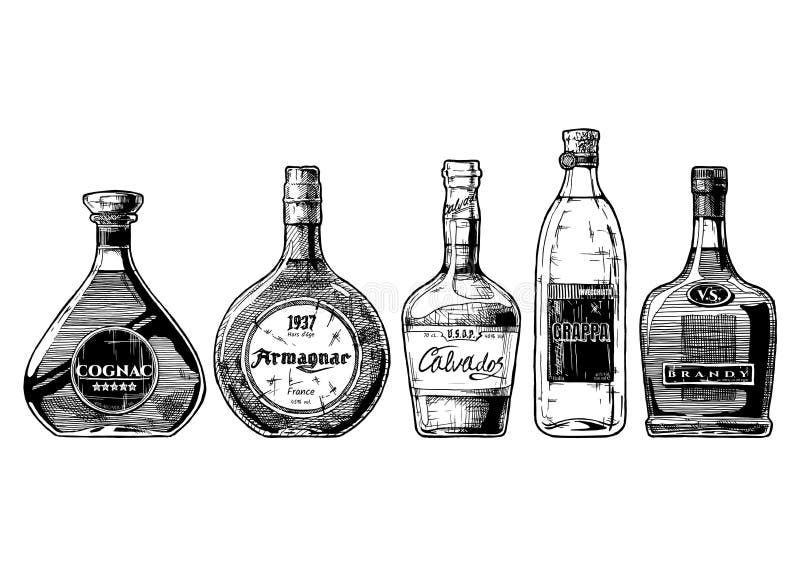 Tipos de brandy ilustración del vector. Ilustración de vendimia - 89760108