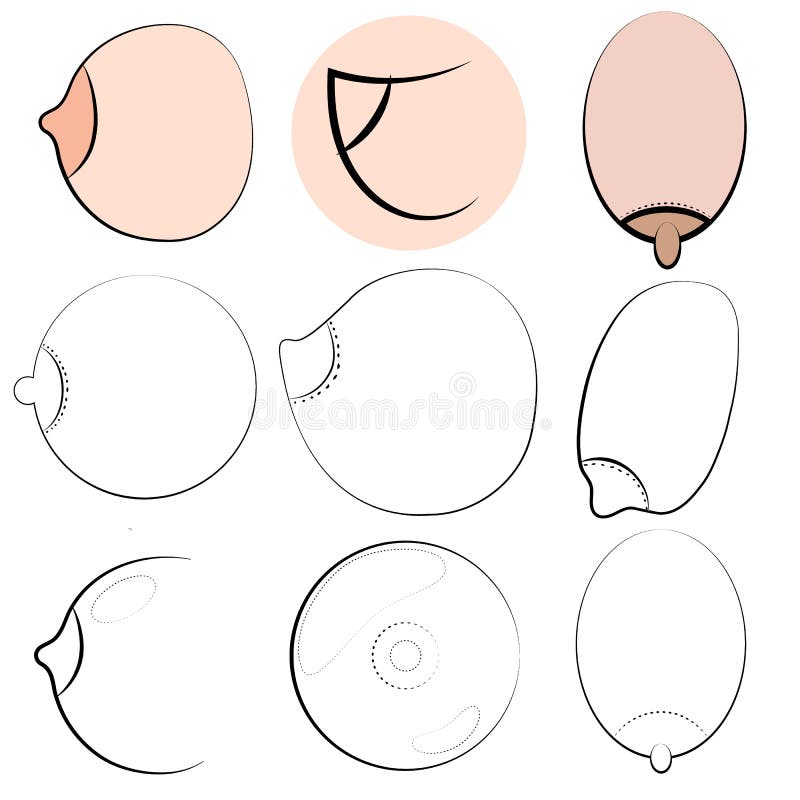 Tipos De Pechos Del ` S De Las Mujeres Icono Del Pecho Del ` S De Las ...