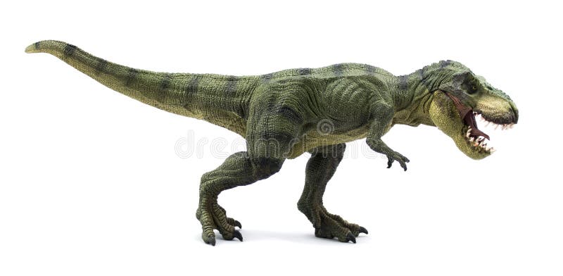 Tirannosauro Rex fotografia stock. Immagine di predatore - 43783356