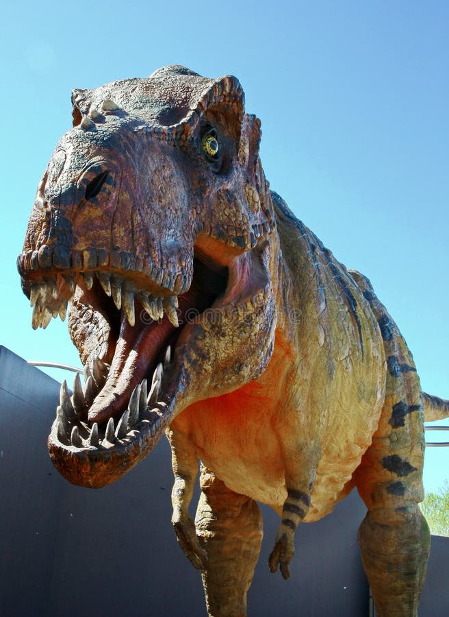 Tiranossauro Rex foto de stock. Imagem de enorme, idade - 69904416