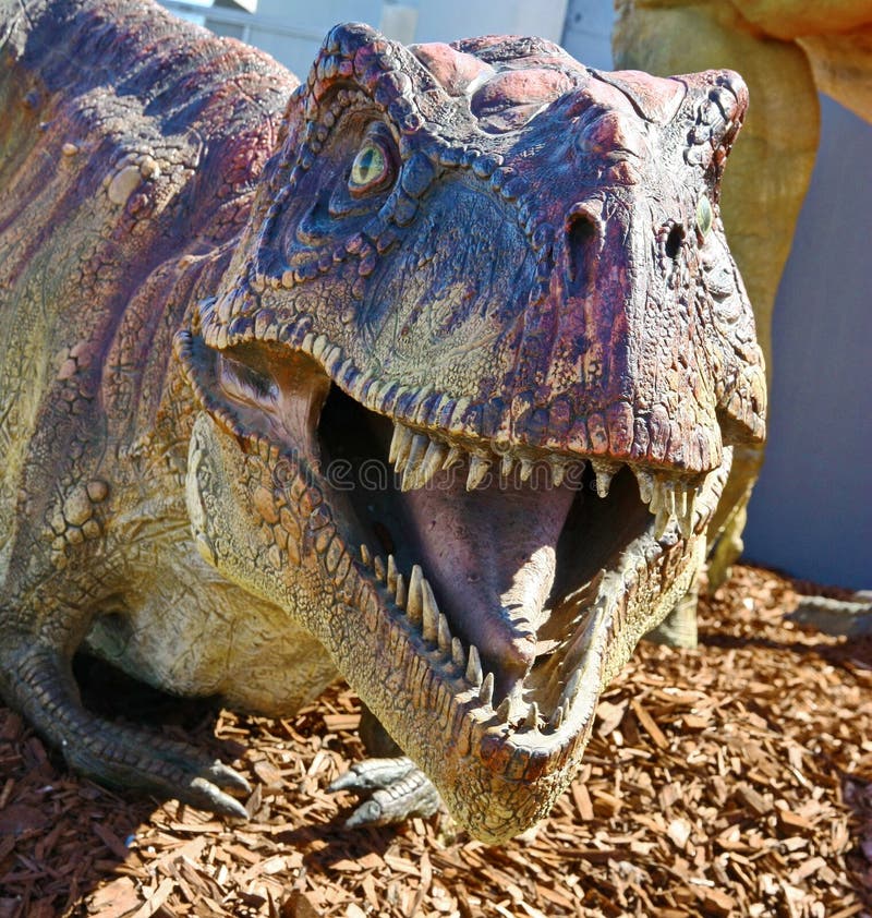 Tiranossauro Rex foto de stock. Imagem de enorme, idade - 69904416