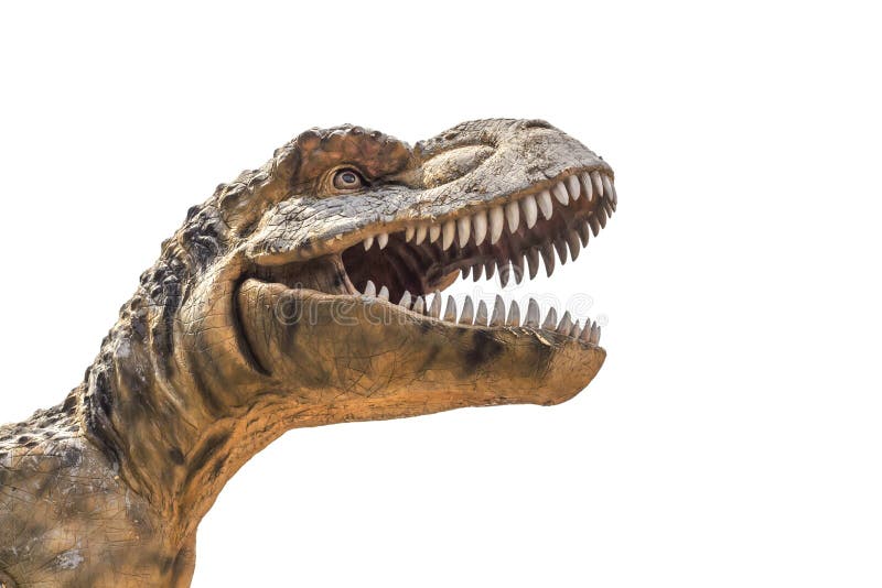 Tiranossauro Rex foto de stock. Imagem de turismo, antigo - 70647224