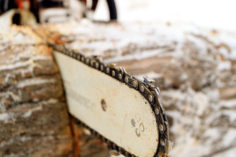 The Tire with a Chain from a Petrol Saw Saws a Birch Log Stock Photo ... The Tire with a Chain from a Petrol Saw Saws a Birch Log Stock Photo ...