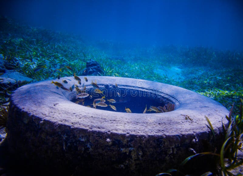 Tire Found Underwater stock image. Image of fish, deep - 51221529