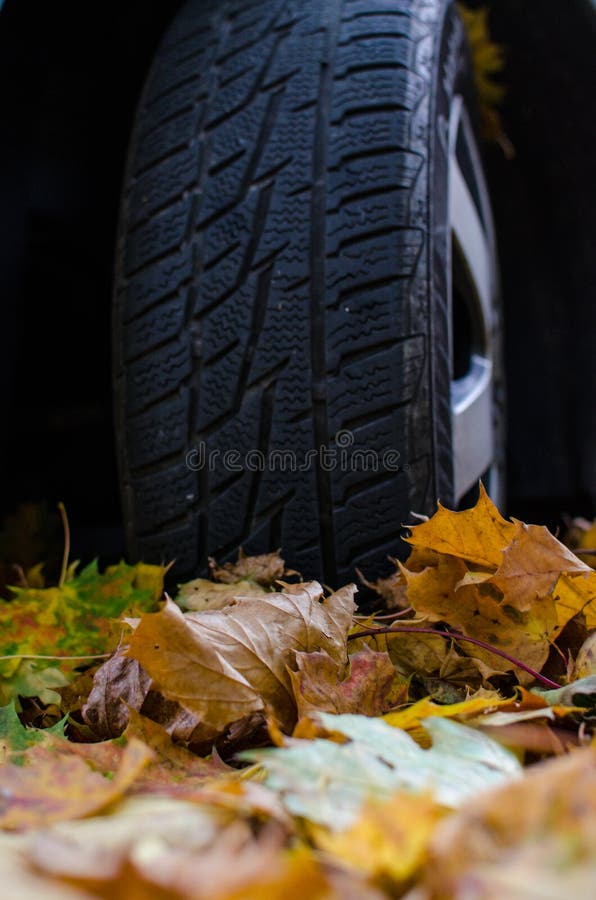 Tire in leaves stock photo. Image of blurred, fast, challenge - 102577546