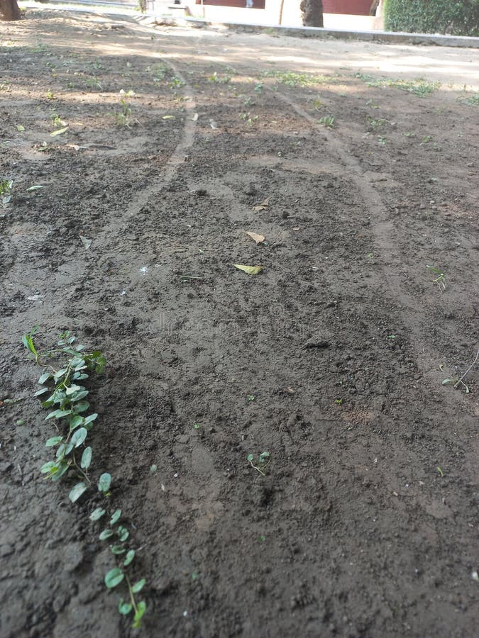Tire Marks on Ground Full of Sand and Dust Stock Image - Image of dust ...