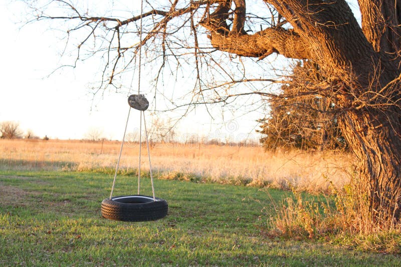 Tire swing in a tree stock image. Image of country, recess - 26137057