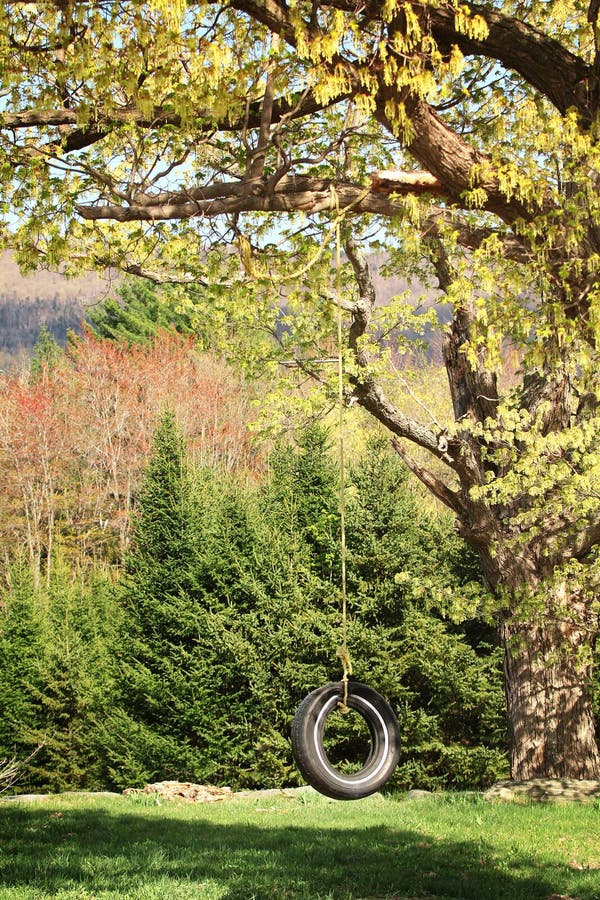 Tire swing stock image. Image of family, nature, outside - 32325555