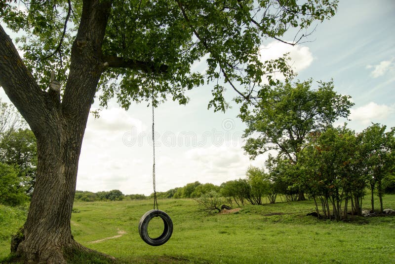 Tire Swing Hanging from a Tree in a Green Field Stock Photo - Image of ...