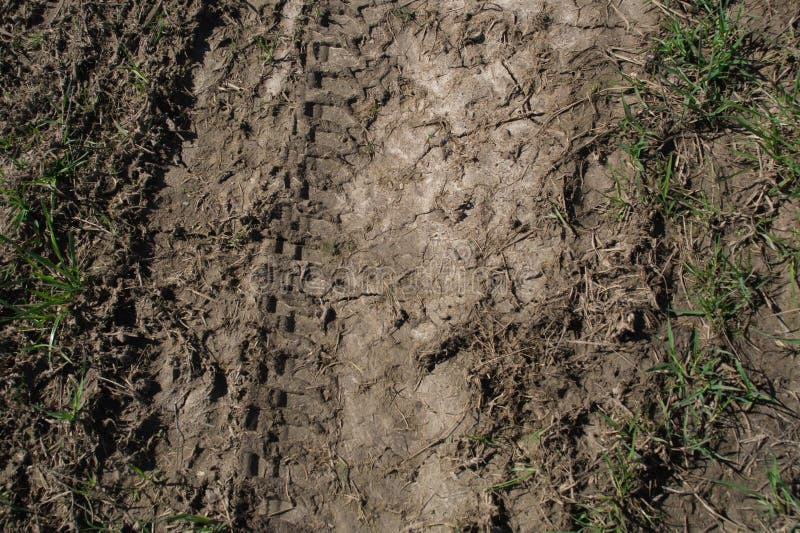 Tire Track in the Mud Background Texture Stock Image - Image of boggy ...