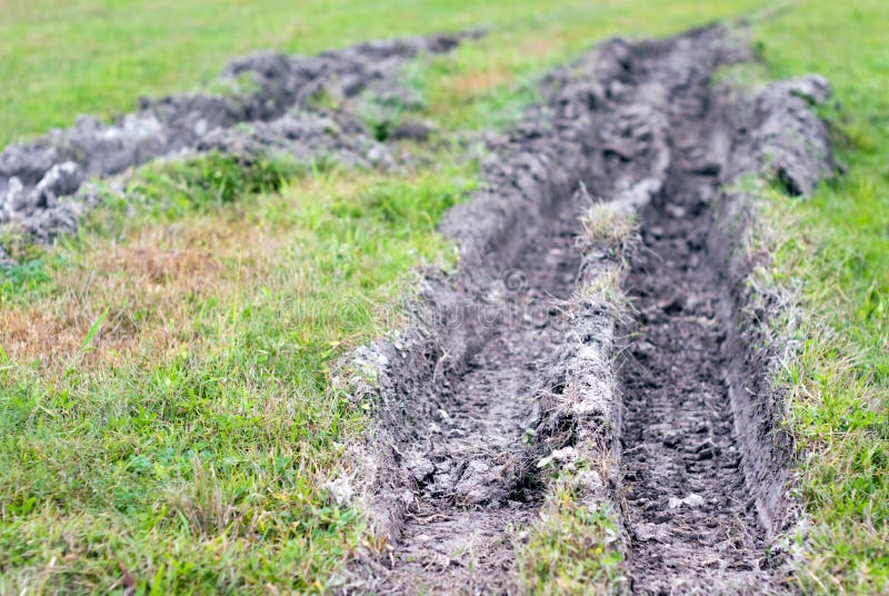 Tire Tracks stock photo. Image of automobile, grass, track - 4586548