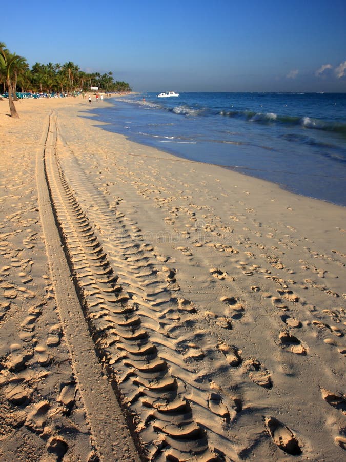 Tire tracks on the beach stock photo. Image of tropical - 12575238