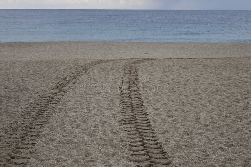 Tire tracks on the beach stock photo. Image of aerial - 361013748