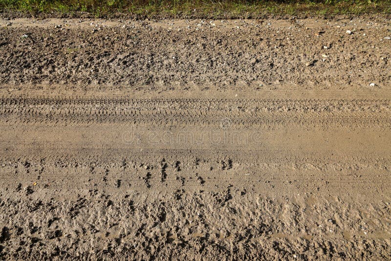 Tire Tracks from Car on a Muddy Dirt Road Stock Image - Image of wheel ...