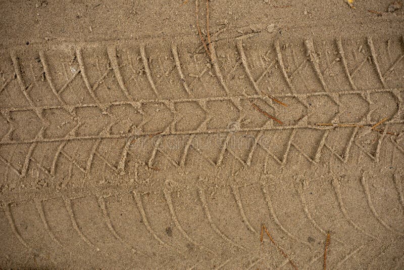 Tire Tracks of Car Wheels on a Sandy Road in the Forest, Horizontal ...