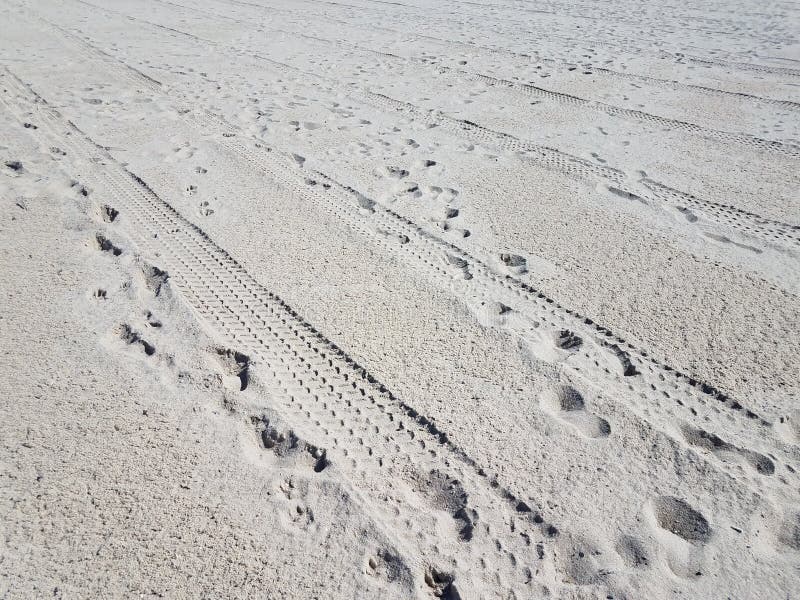 Tire Tracks and Foot Prints on Combed Beach Stock Photo - Image of ...