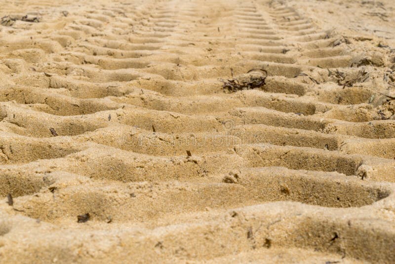 173 Shell Repeating Pattern Stock Photos - Free & Royalty-Free Stock ...