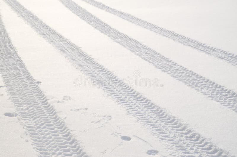 Tire Tracks in Fresh Snow in Winter Stock Photo - Image of track ...