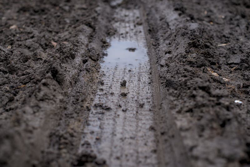 Tire Tracks on a Muddy Road Stock Image - Image of gray, muddy: 306789603