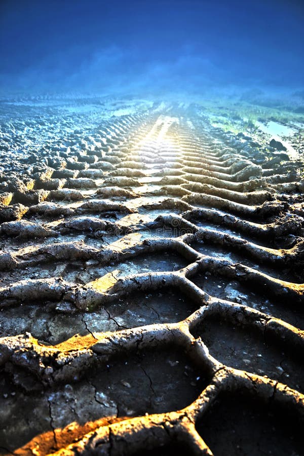 Tracks in mud stock photo. Image of dirt, grunge, angle - 193714